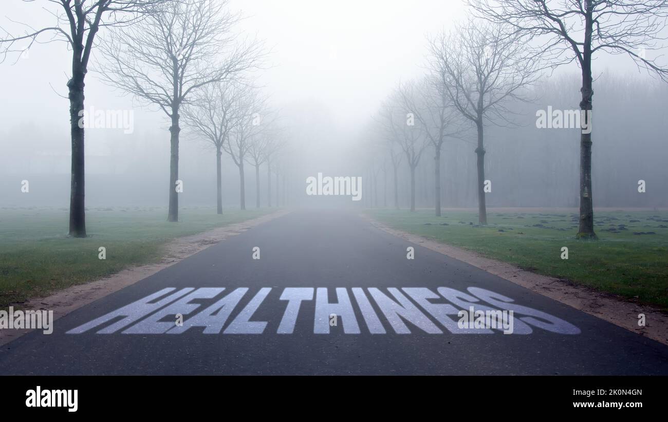 Street Sign the Direction Way to Healthiness Stock Photo - Alamy