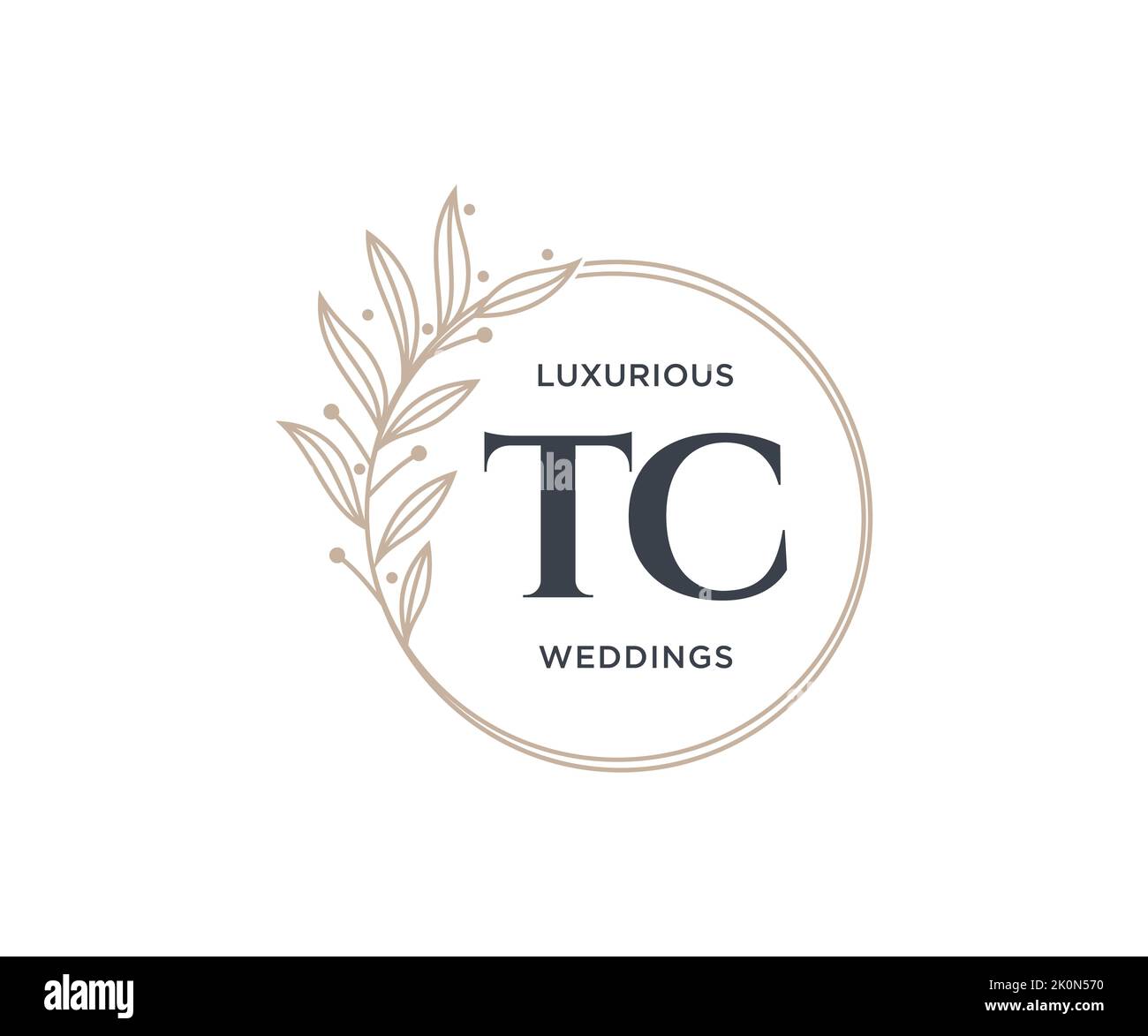 TC Initials letter Wedding monogram logos template, hand drawn modern ...
