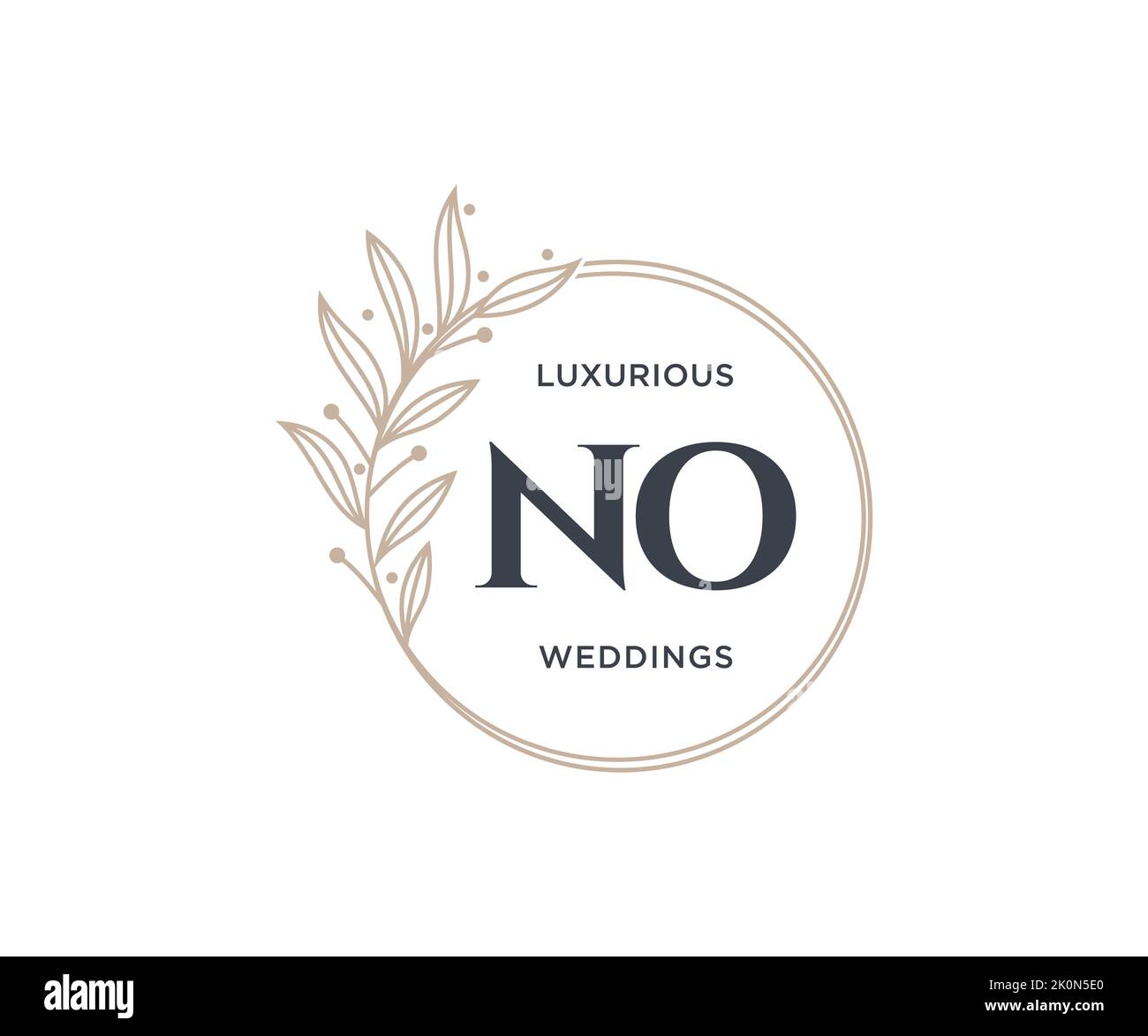 NO Initials letter Wedding monogram logos template, hand drawn modern ...