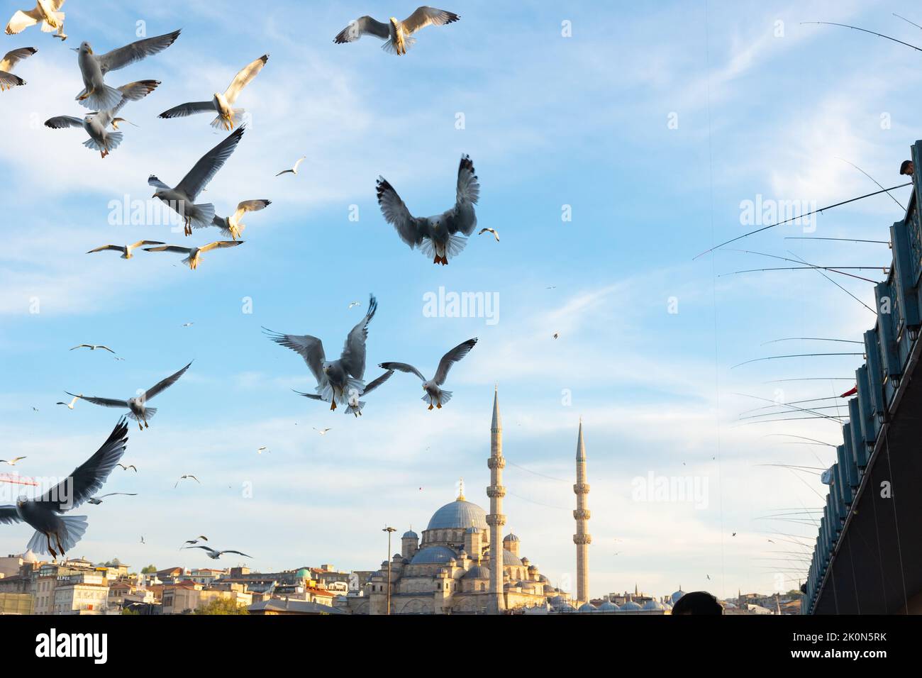 Travel to Istanbul background. Seagulls and Yeni Cami aka New Mosque in ...