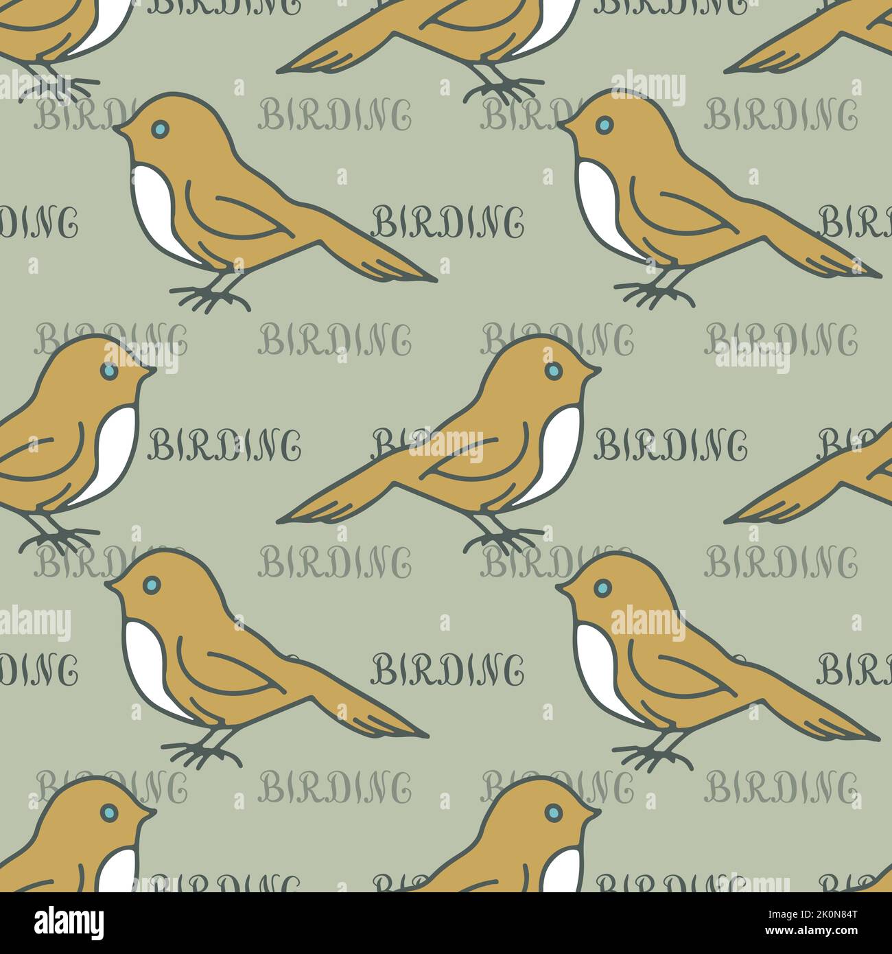 Yellow birds with word Birding on green background. Birdwatching ...
