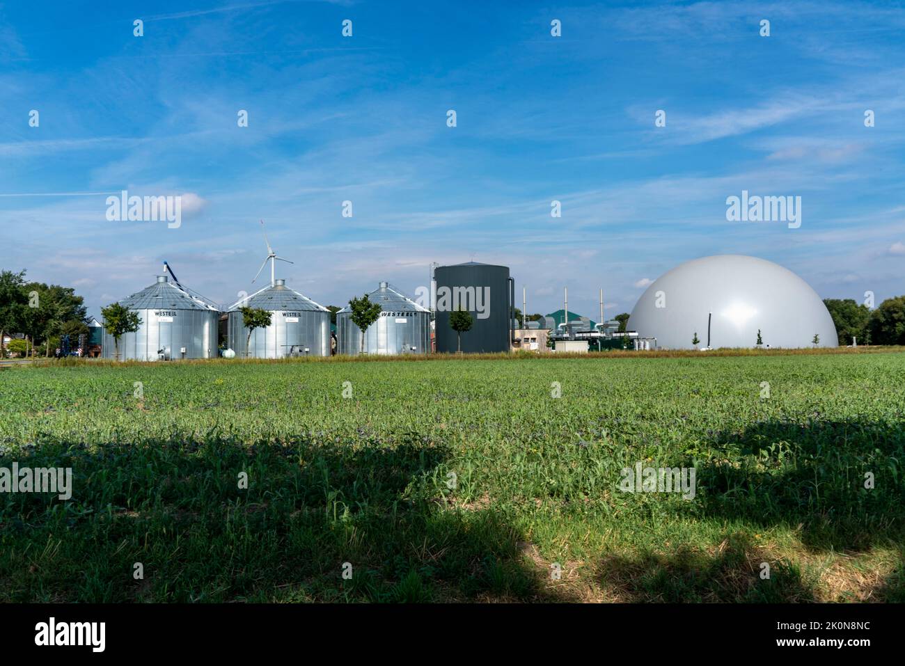Biogas plant, storage silos, large buffer storage for hot water for ...