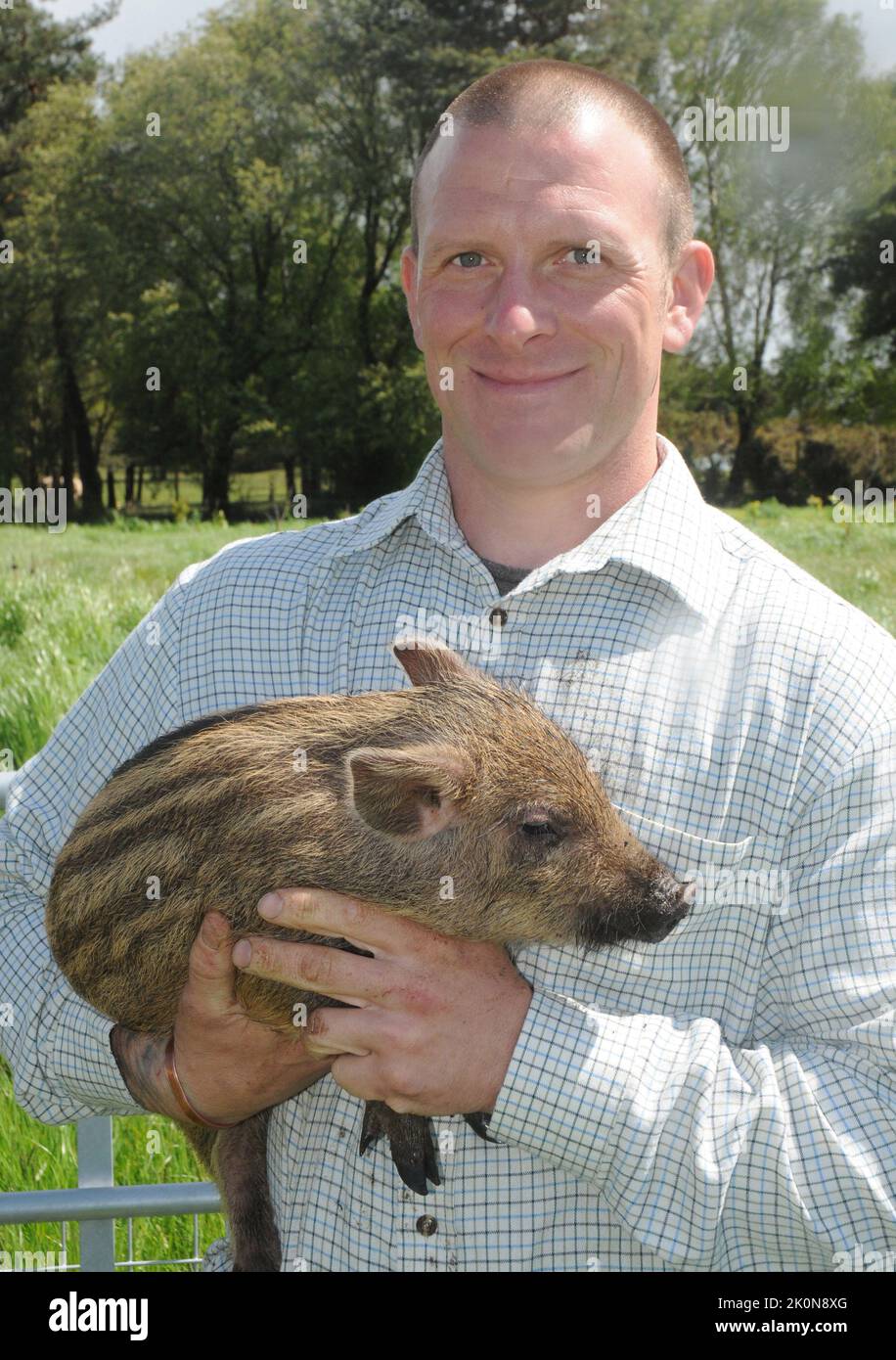 Farmer Jamie Burgess with one of the wild boar piglets at his farm in ...
