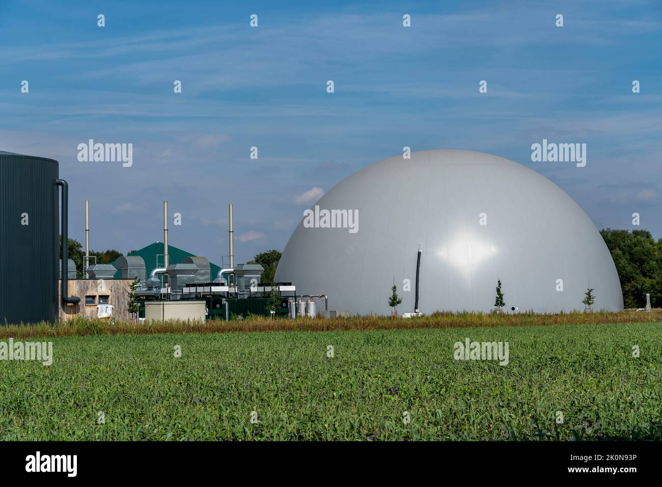 Biogas plant, large buffer storage for hot water for intermediate ...