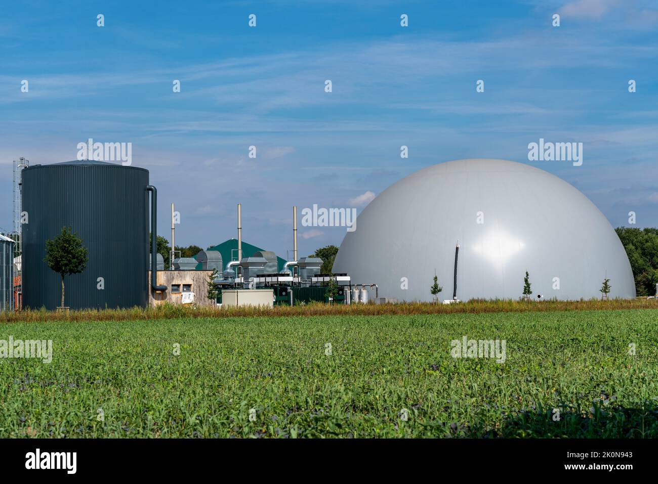 Biogas plant, large buffer storage for hot water for intermediate ...