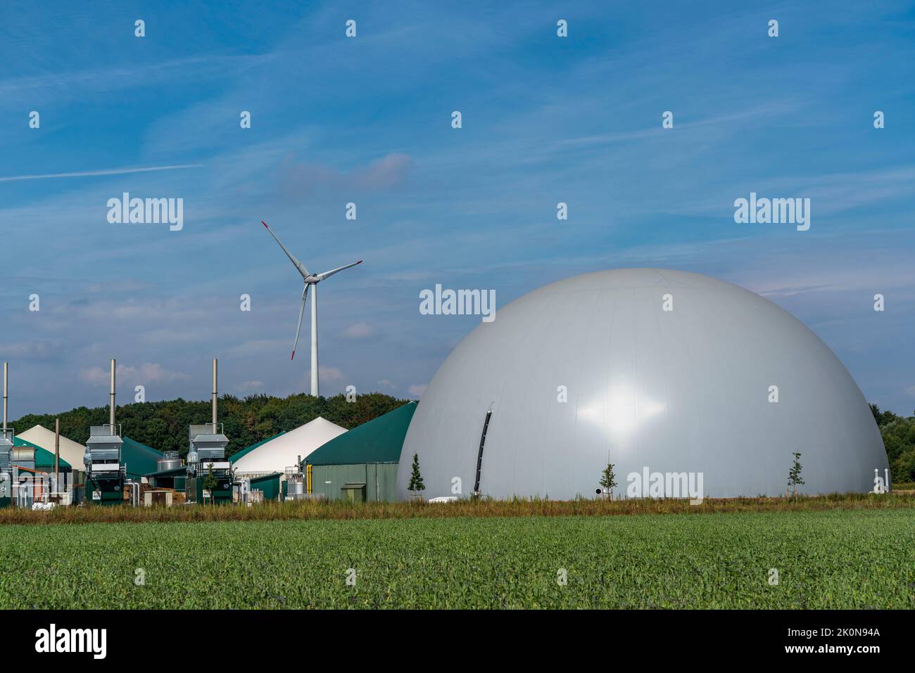 Biogas plant, combined heat and power plants, for power generation ...