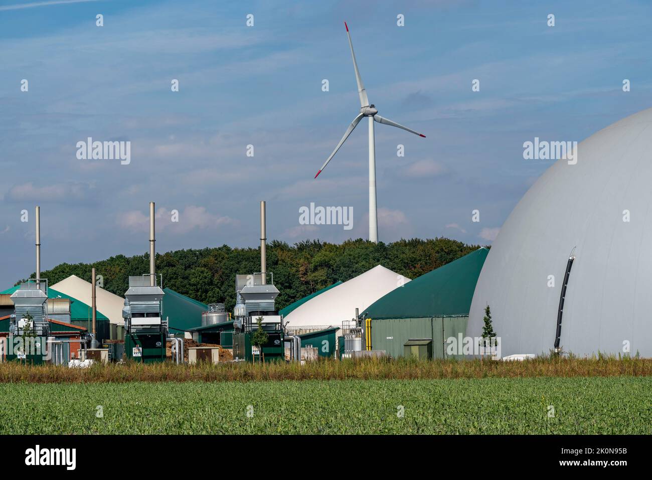 Biogas plant, combined heat and power plants, for power generation ...