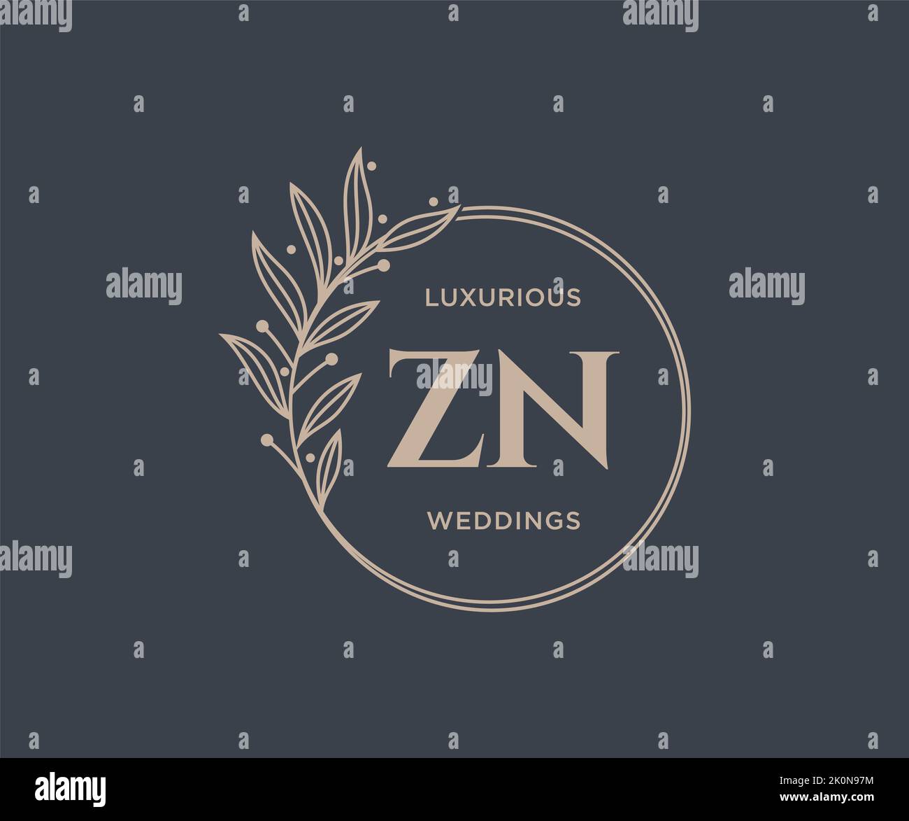 ZN Initials letter Wedding monogram logos template, hand drawn modern minimalistic and floral ...
