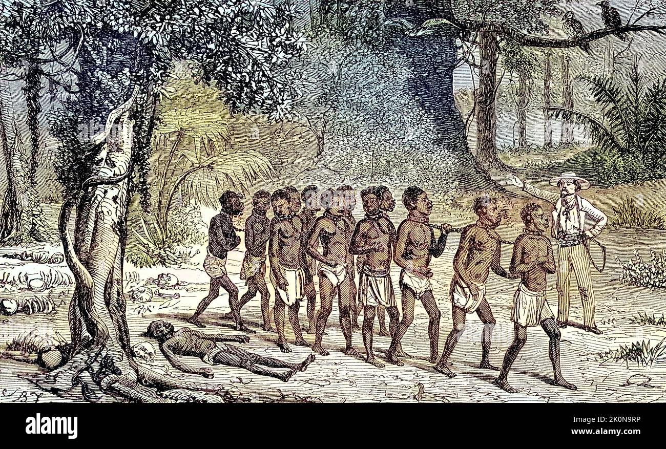 Sklaven durchqueren einen Totenwald, Sklavenjäger im Kongo im Jahre 1868, Afrika / Slaves ...