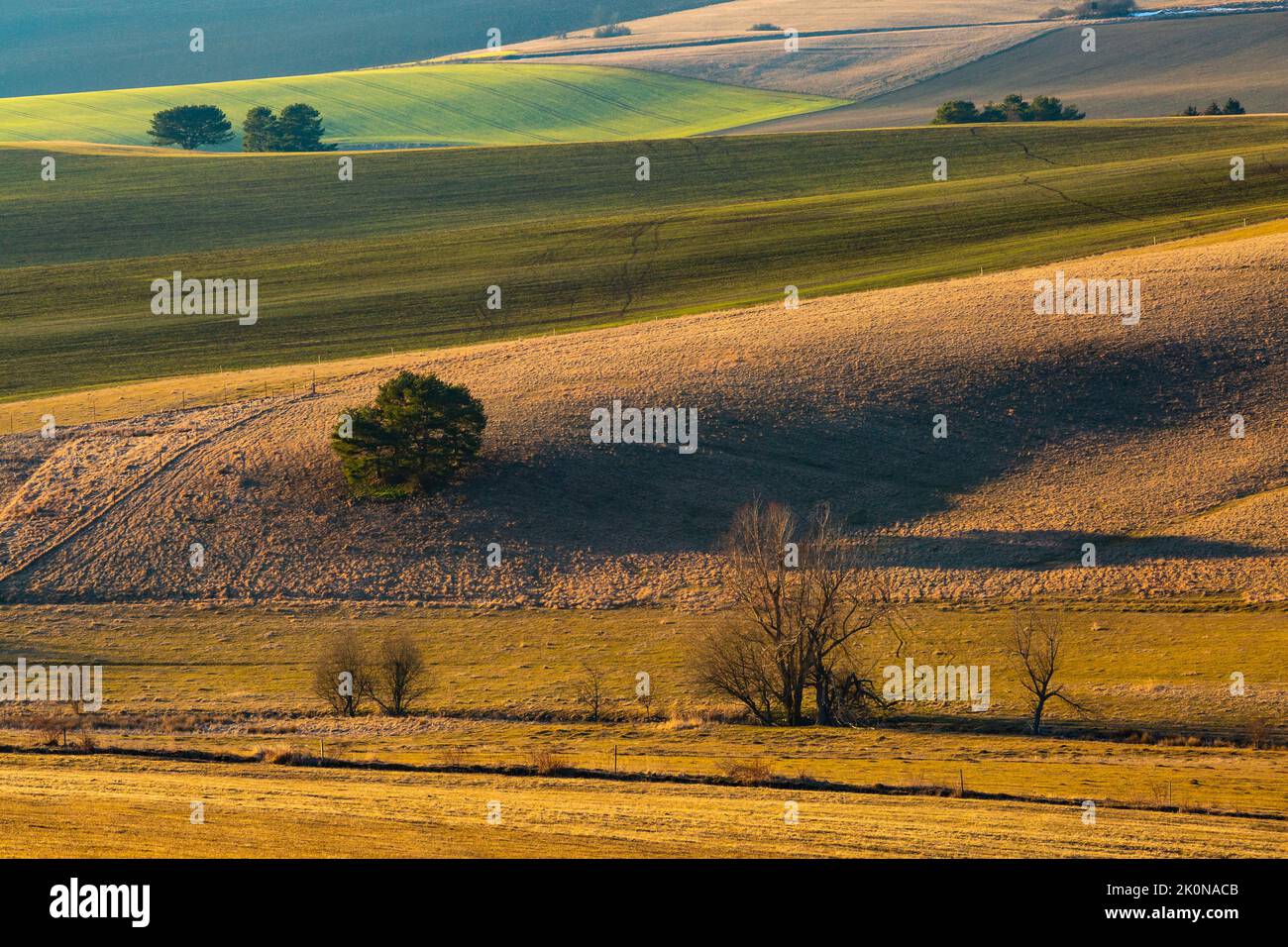 Trees in the fields of Turiec region, Slovakia Stock Photo - Alamy