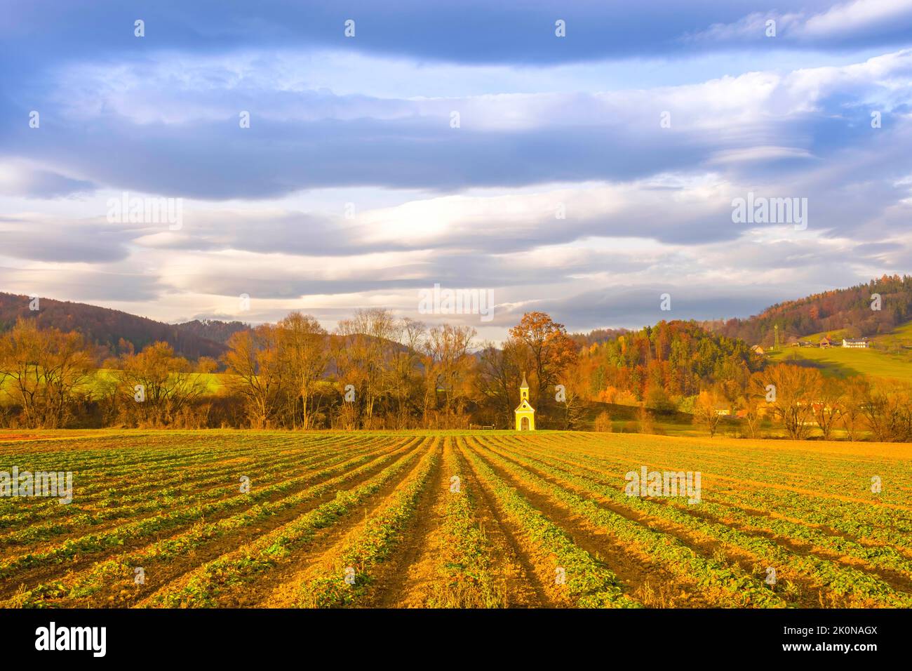 Agricultural fields and yellow little chapel in the charming town of ...