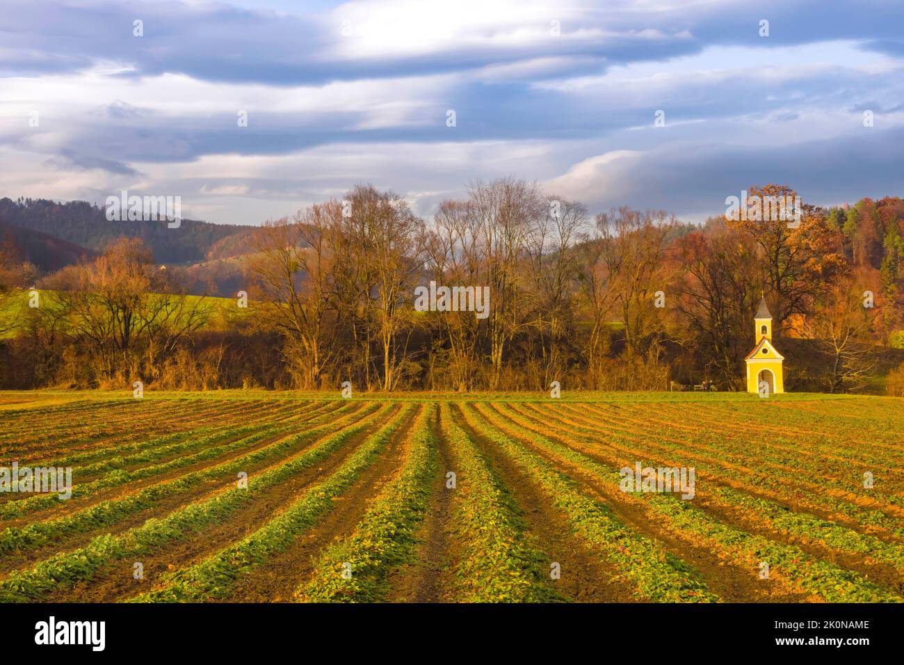 Agricultural fields and yellow little chapel in the charming town of ...