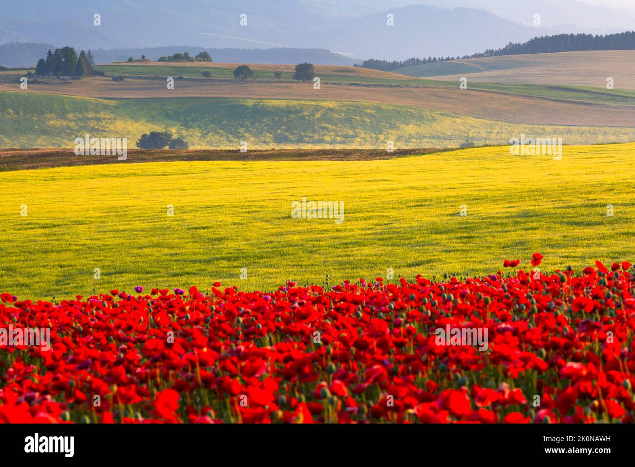 Region turiec hi-res stock photography and images - Alamy
