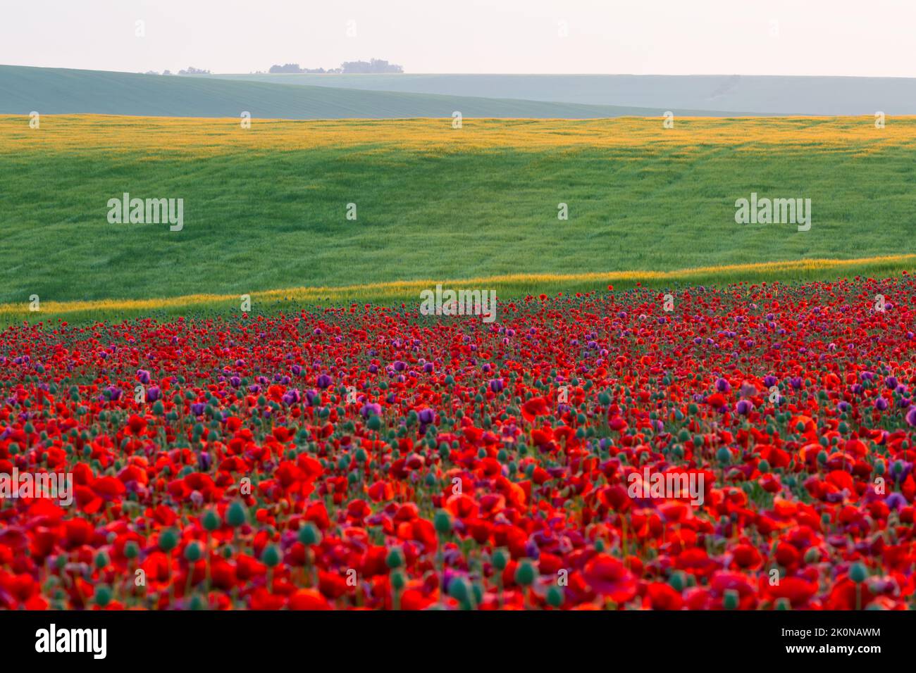 Region turiec hi-res stock photography and images - Alamy