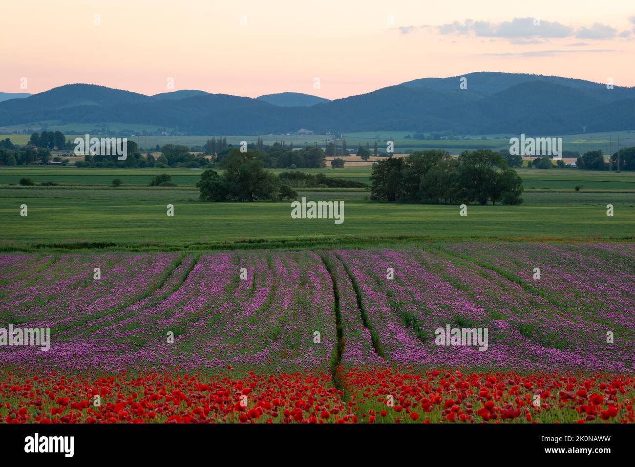 Summer rural landscape of Turiec region, Slovakia Stock Photo - Alamy
