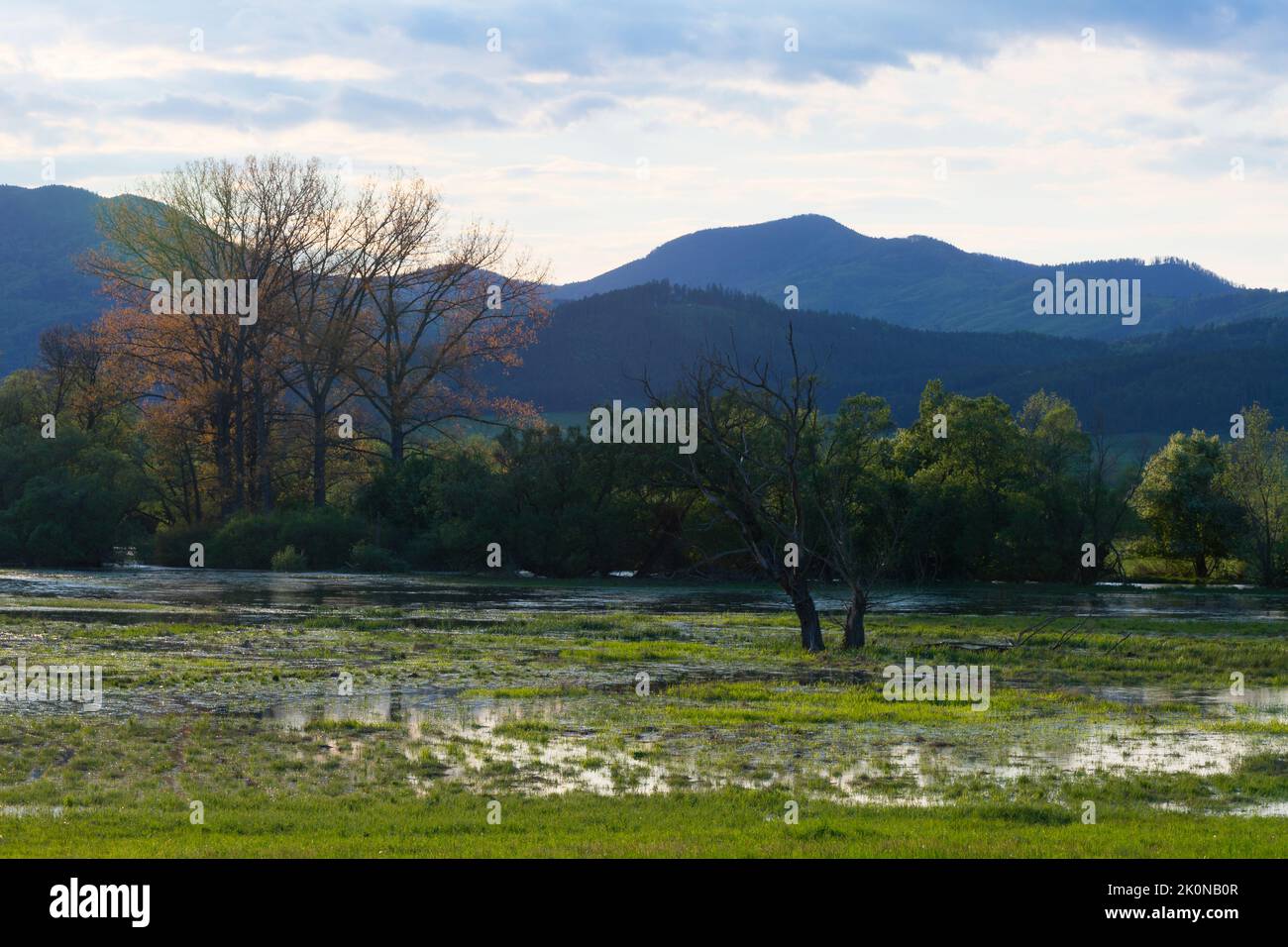 Floodplain wetland hi-res stock photography and images - Alamy