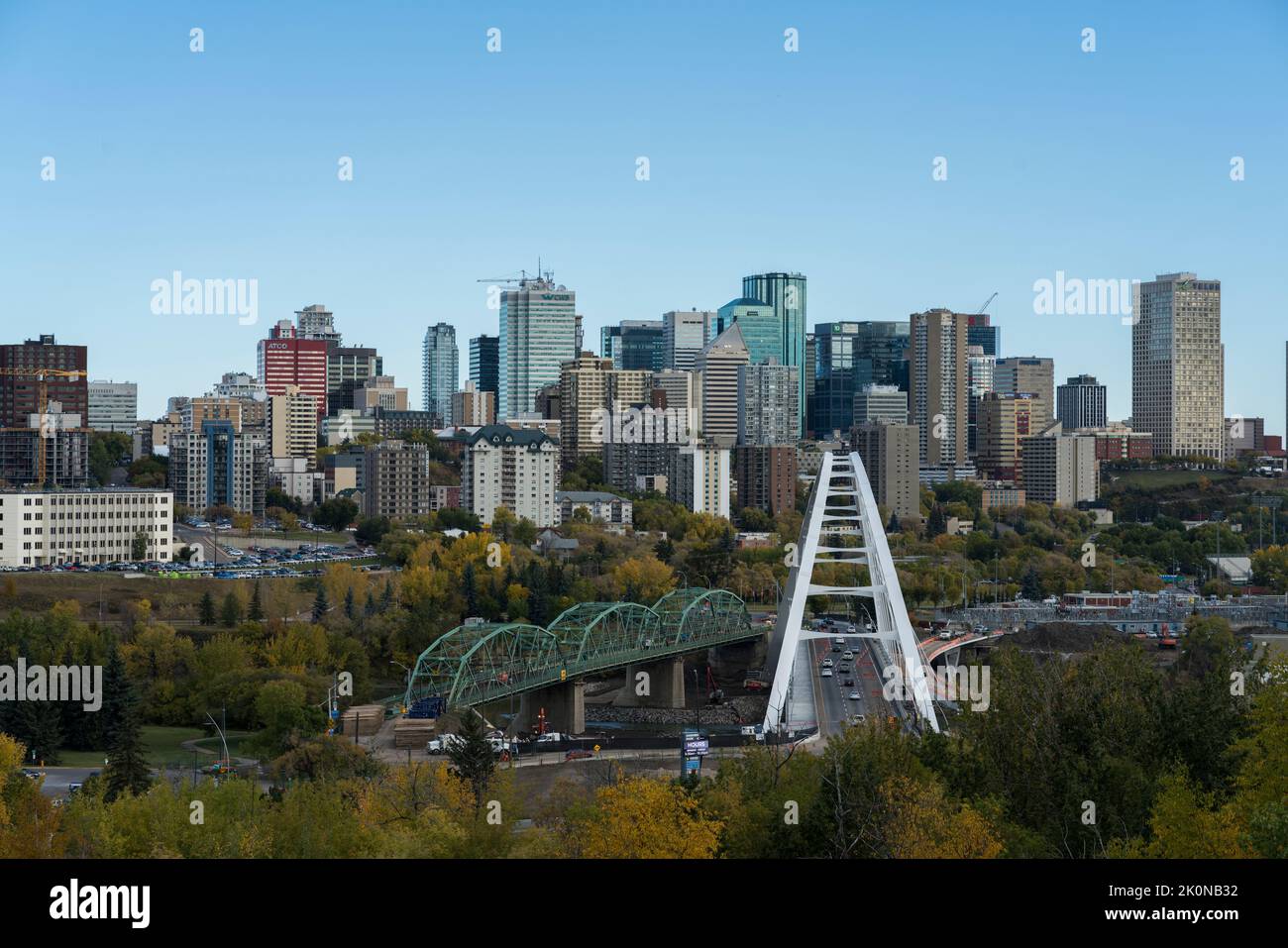 A bird's eye view of trees with a background of the Edmonton cityscape ...
