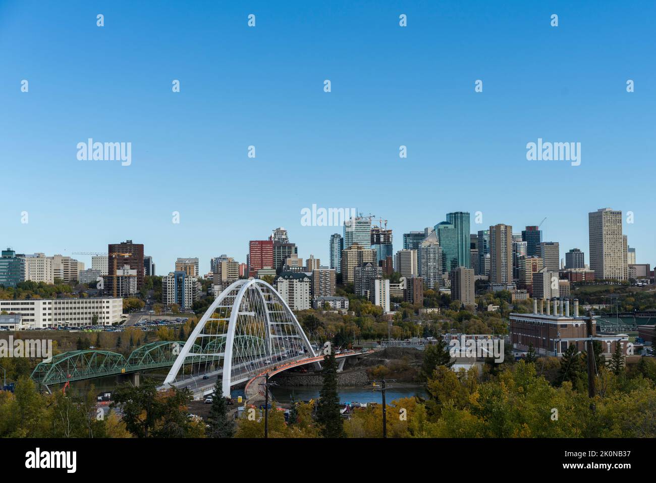 A bird's eye view of trees with a background of the Edmonton cityscape ...