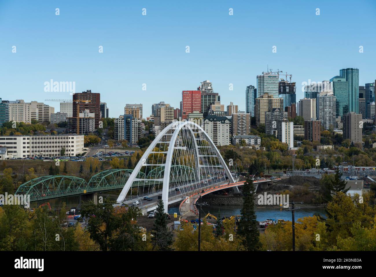A bird's eye view of trees with a background of the Edmonton cityscape ...