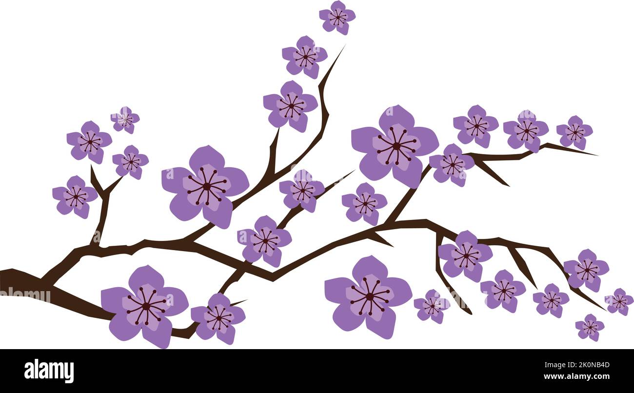 vector illustration of a purple cherry blossom Stock Vector Image & Art ...
