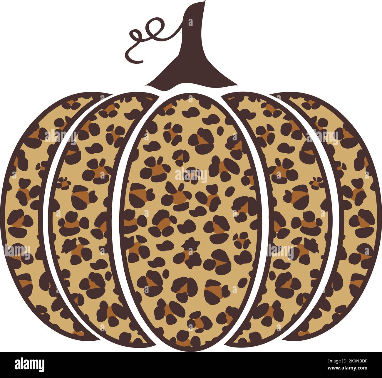 vector illustration of a leopard pumpkin Stock Vector Image & Art - Alamy