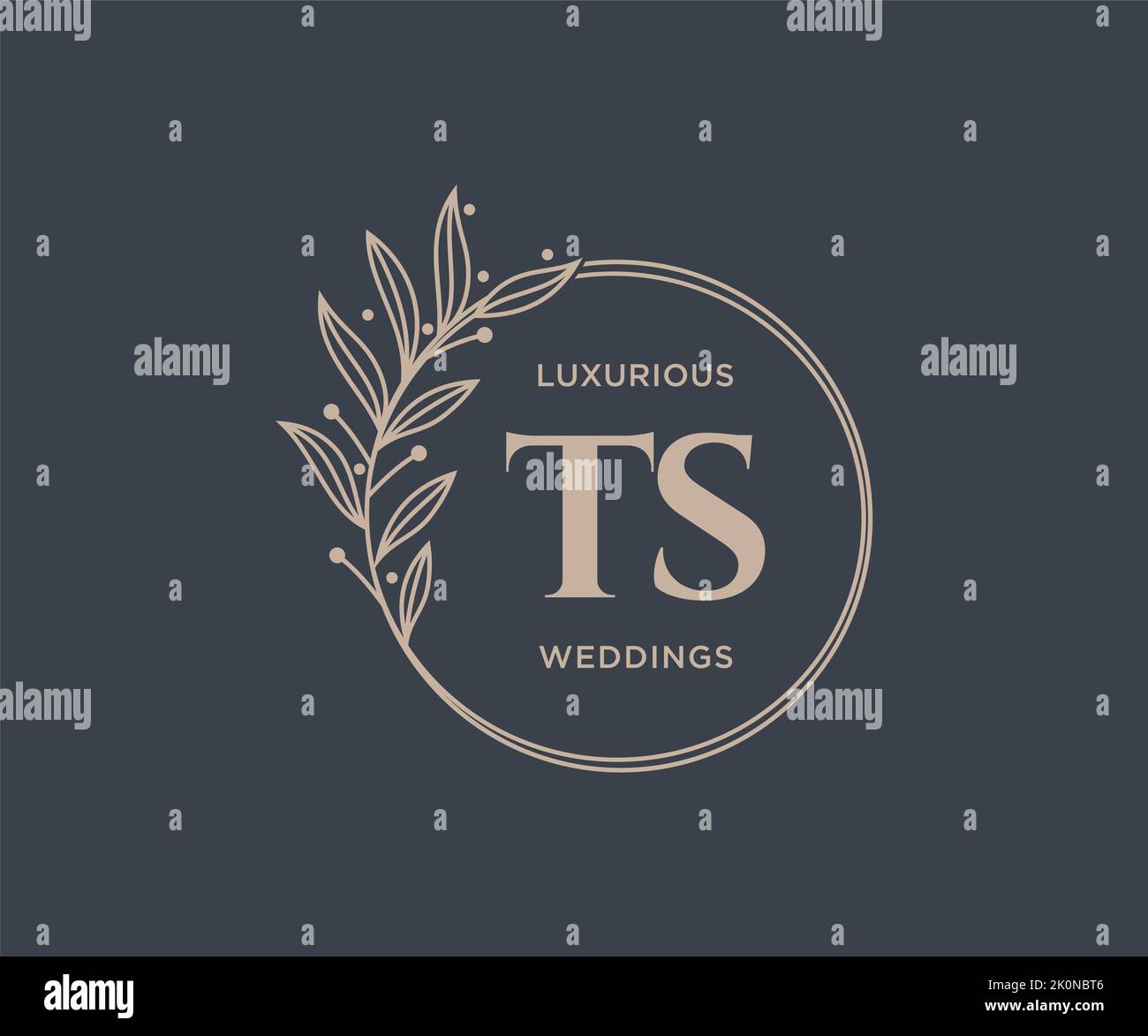 TS Initials letter Wedding monogram logos template, hand drawn modern ...