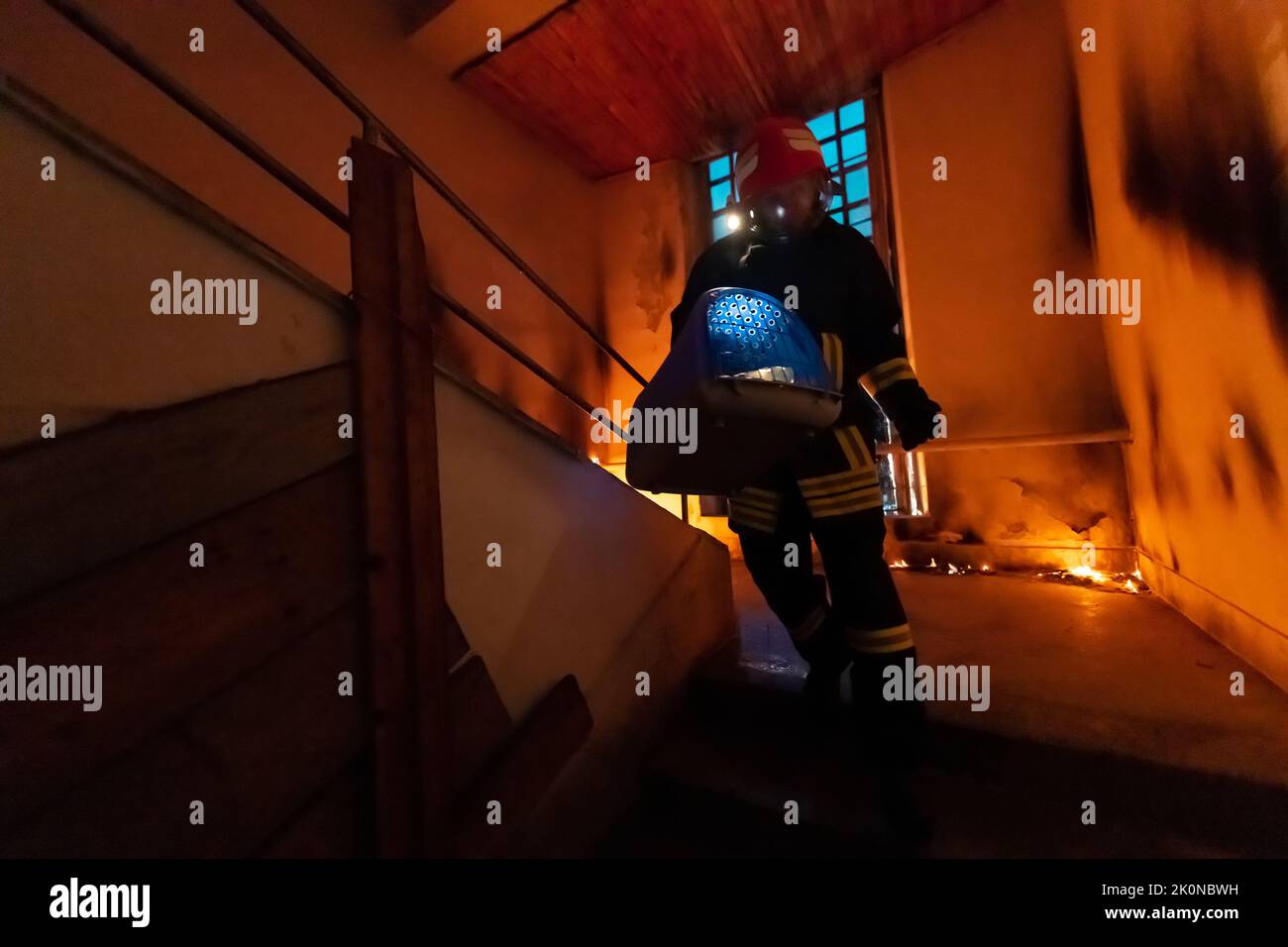 Firefighter hero carrying cat pet animal in carrying bag box out from ...