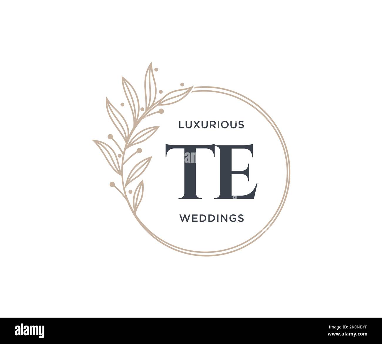 TE Initials letter Wedding monogram logos template, hand drawn modern ...