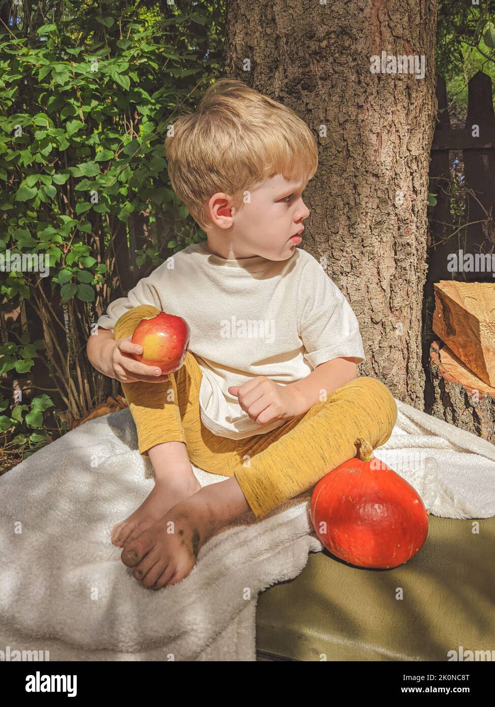 A child sits on a suitcase, a pumpkin and an apple, barefoot Stock ...