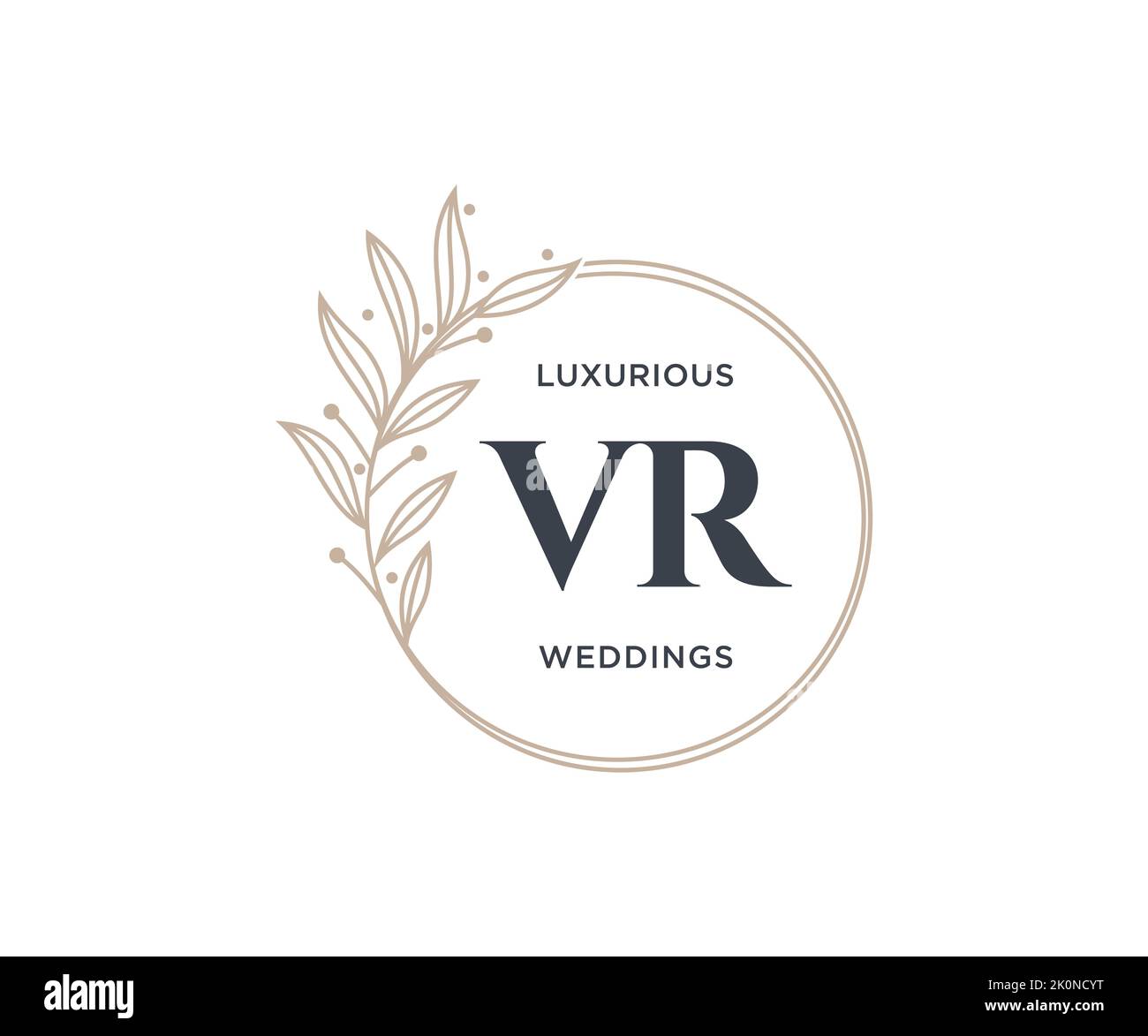 VR Initials letter Wedding monogram logos template, hand drawn modern ...