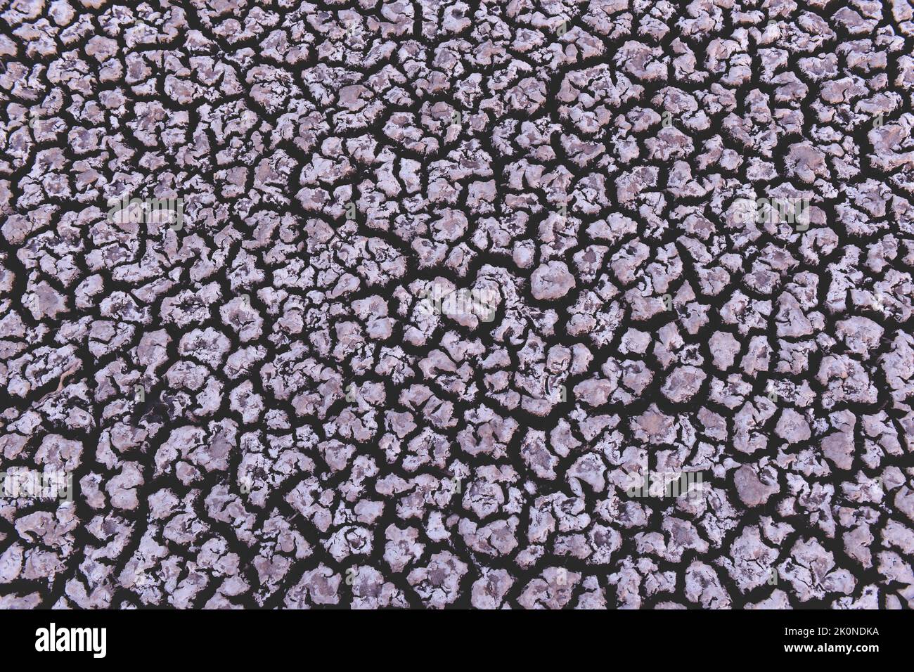 Cracked soil texture in the desert, La pampa Province, Patagonia ...