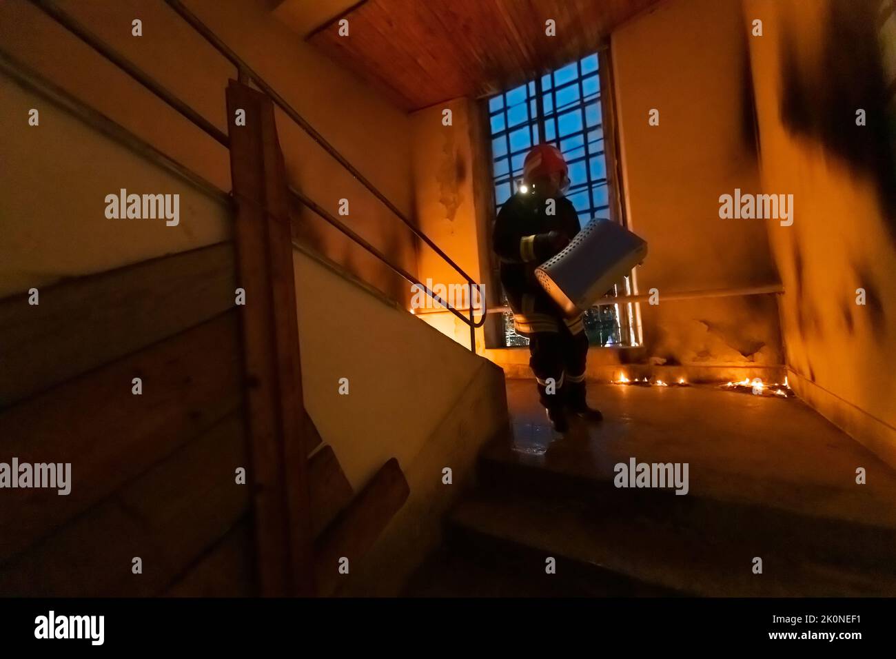 Firefighter hero carrying cat pet animal in carrying bag box out from ...