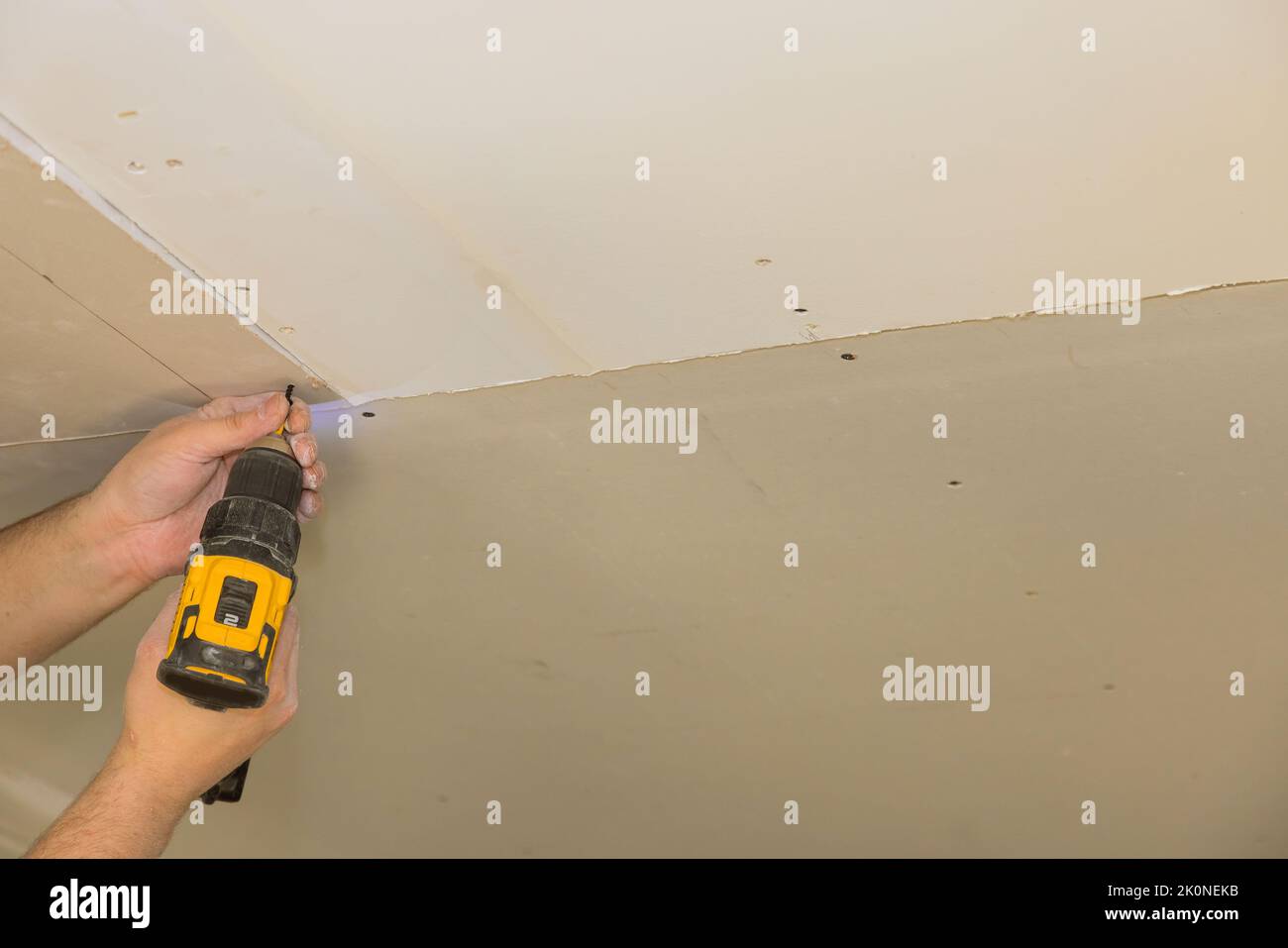 The worker uses a screwdriver to attach the drywall to the ceiling with ...