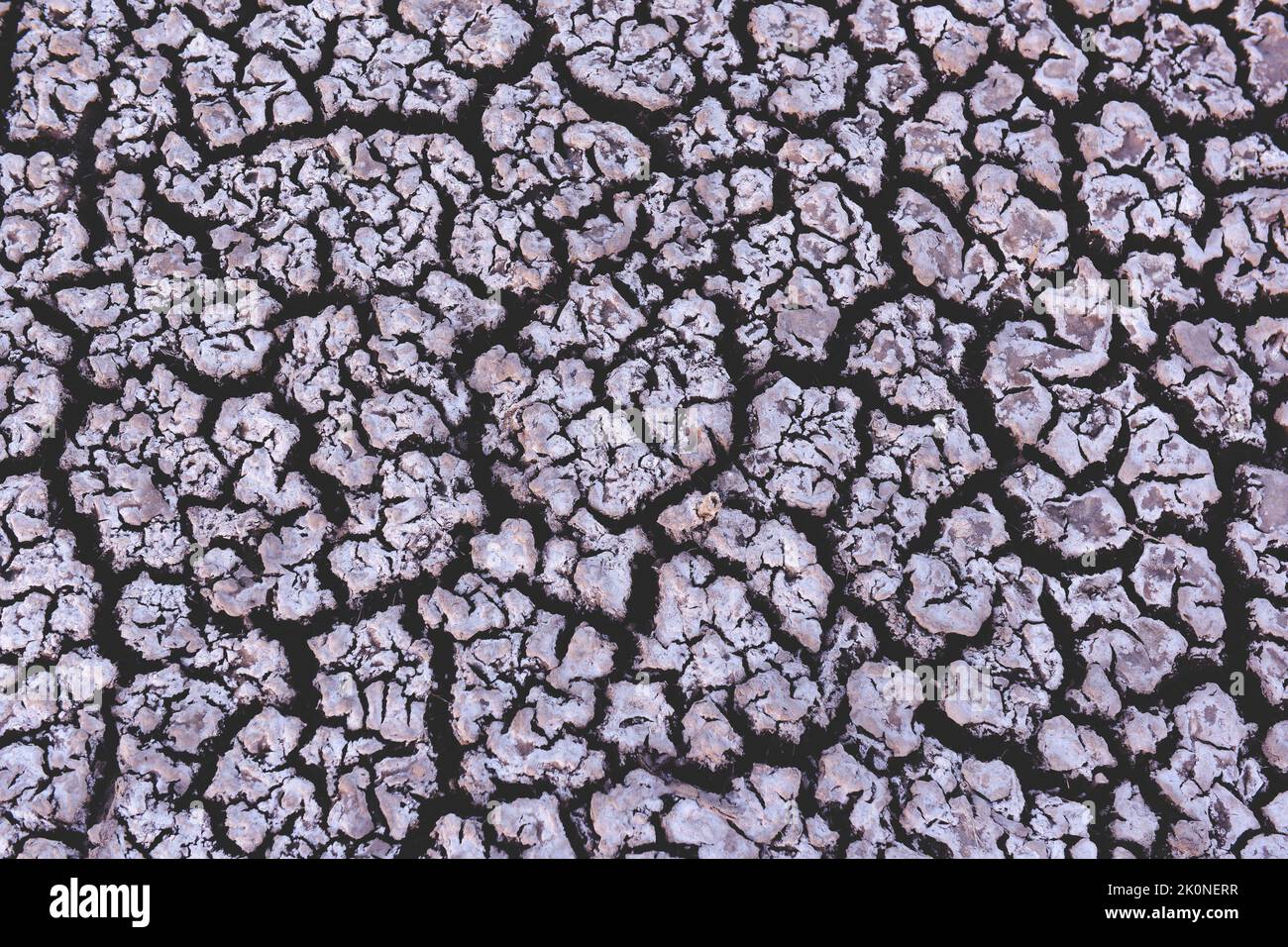 Cracked soil texture in the desert, La pampa Province, Patagonia ...