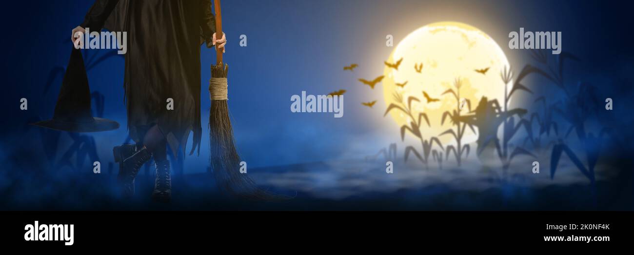 Halloween banner with witch and moon on dark background Stock Photo - Alamy