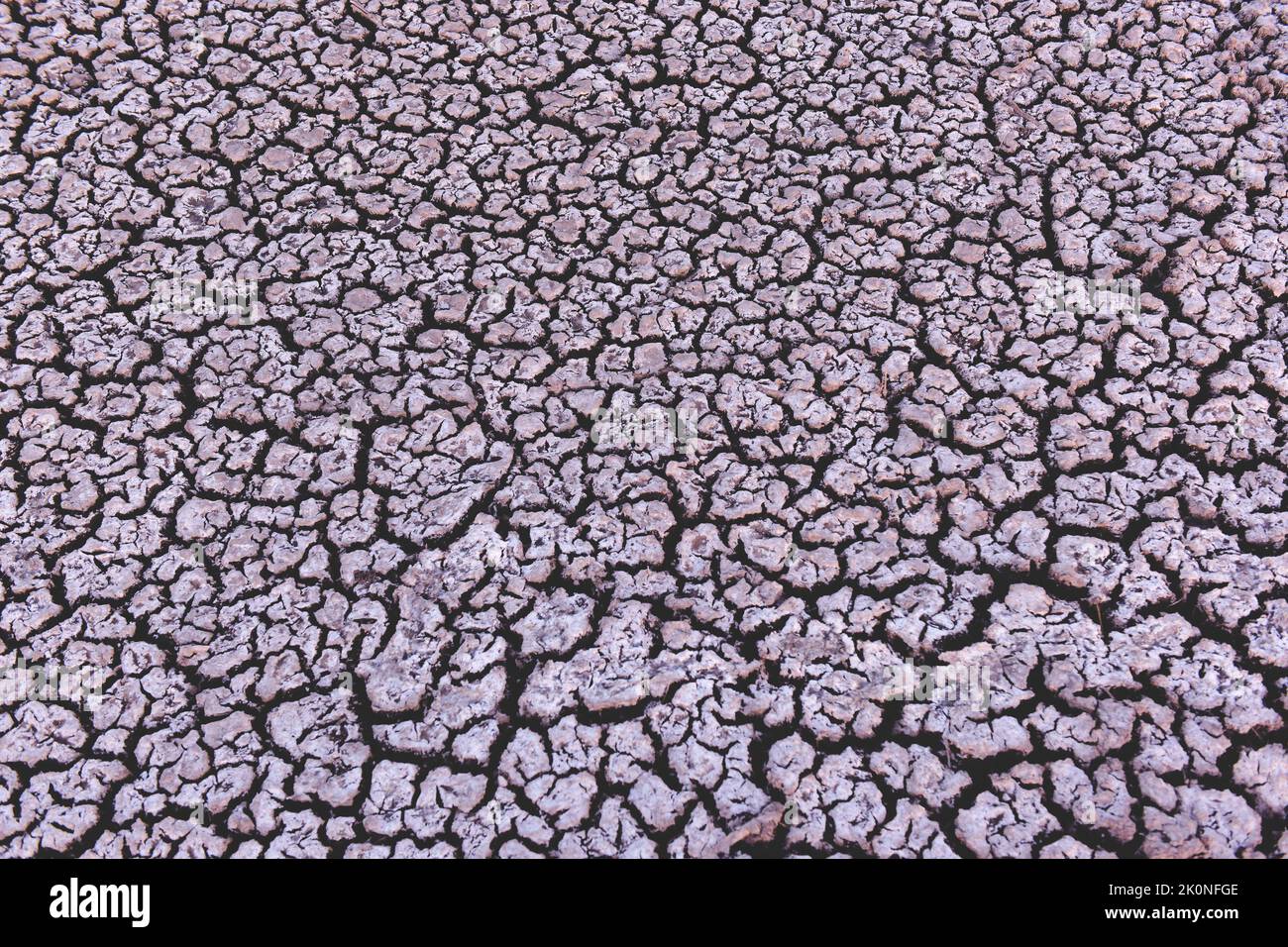 Cracked soil texture in the desert, La pampa Province, Patagonia ...