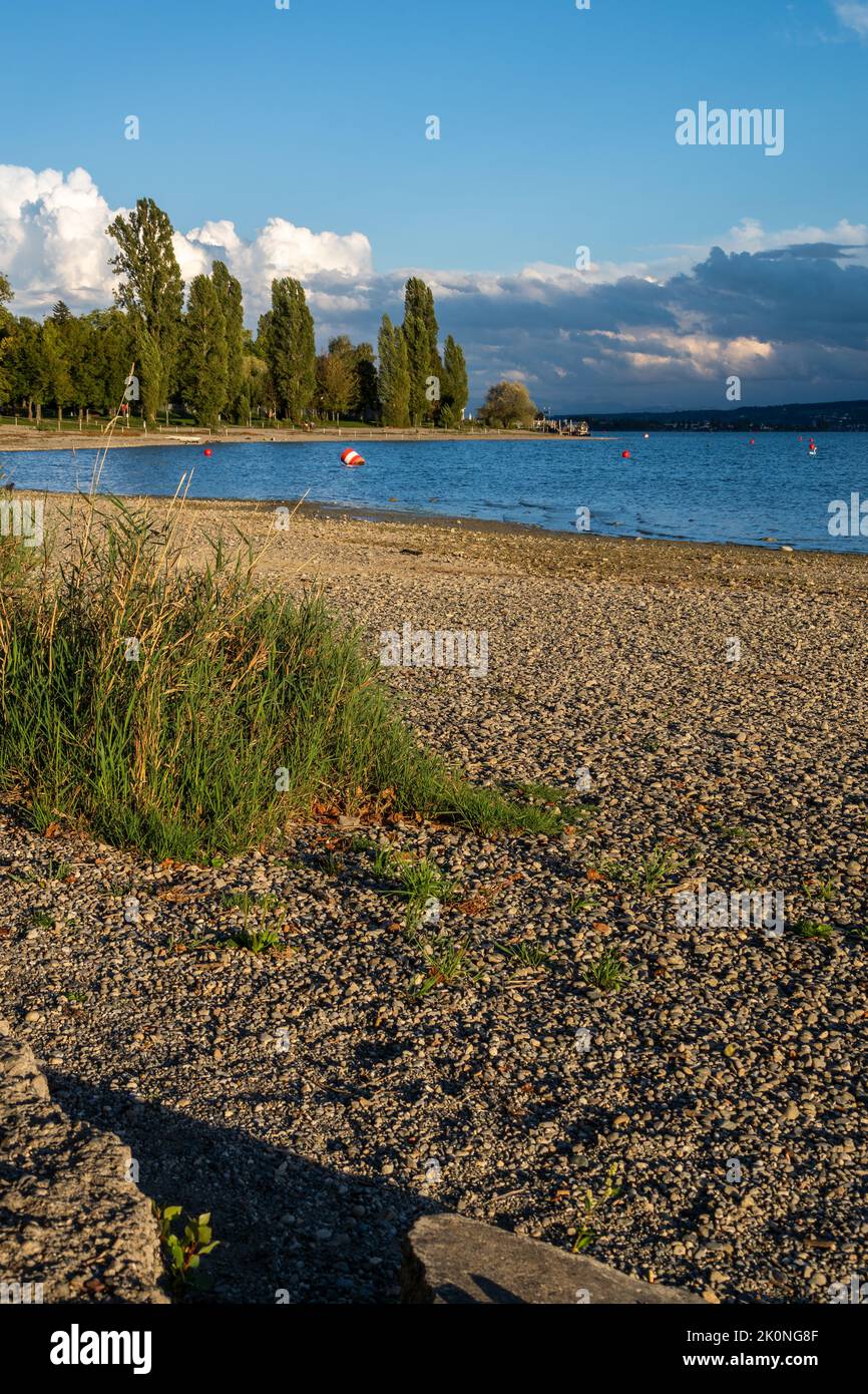 Lakeside Allensbach on Lake Constance summer vacation Stock Photo - Alamy