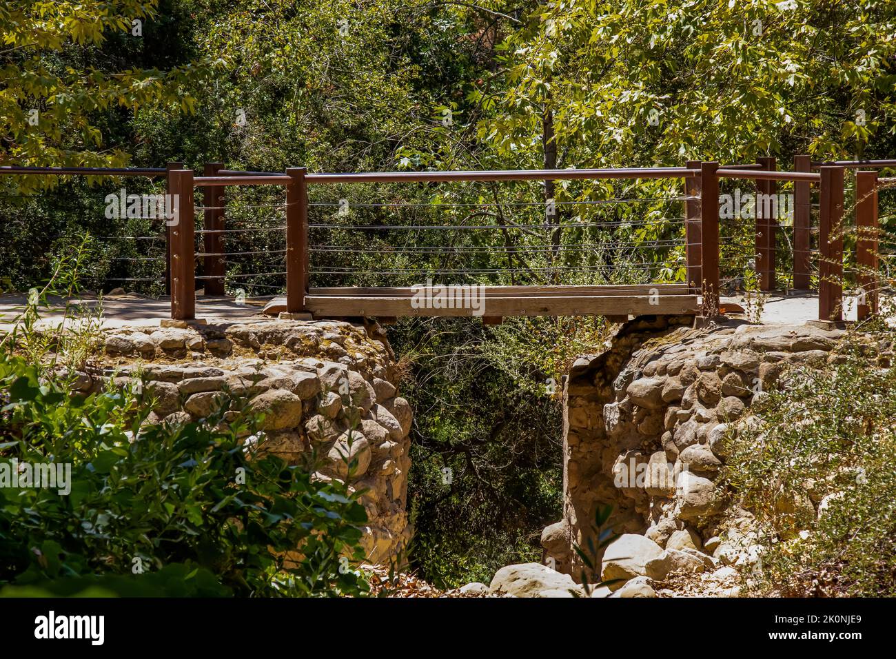 Wooden walking bridge on hiking trail in dense forest Stock Photo - Alamy