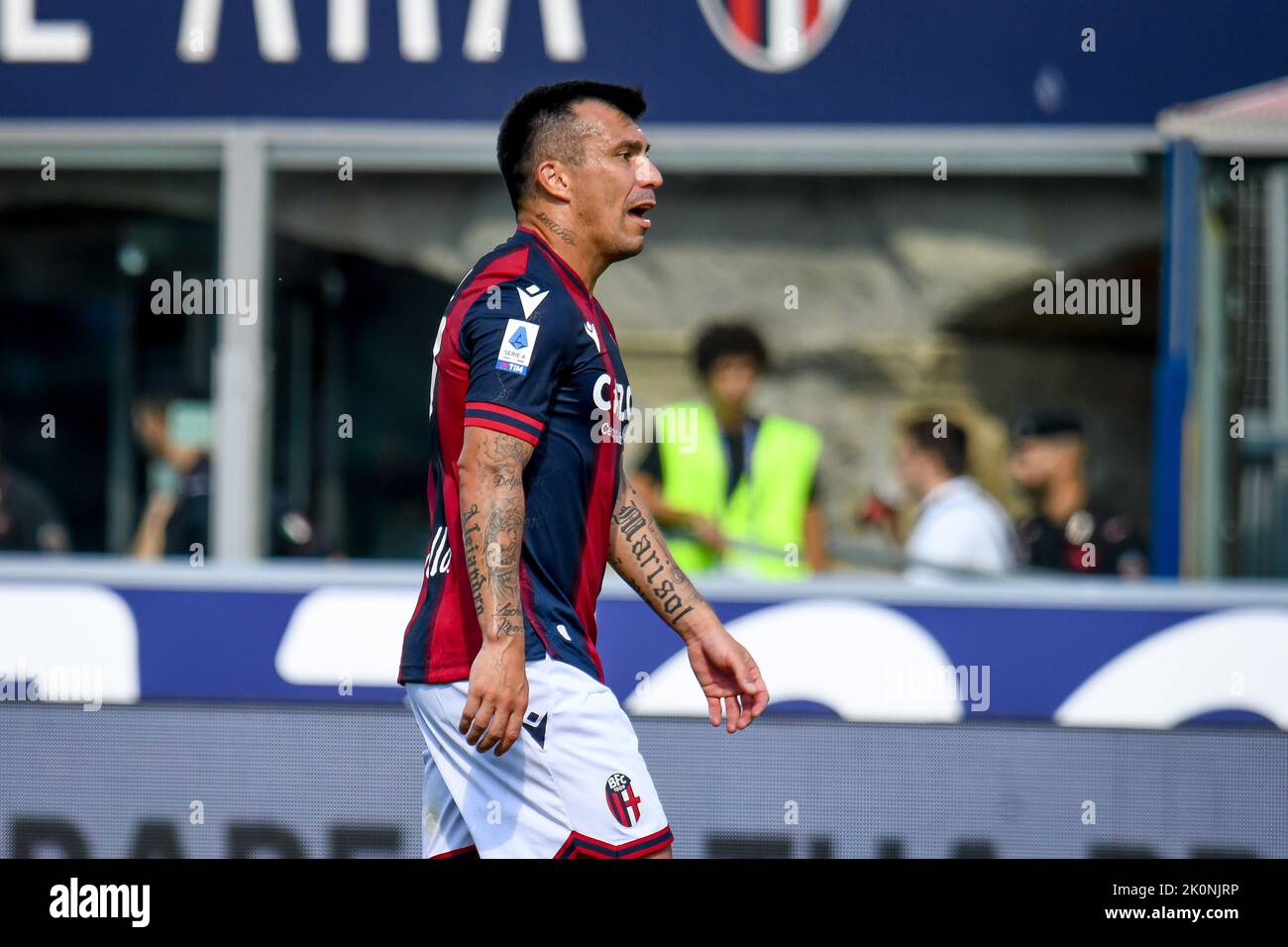 Renato Dall'Ara stadium, Bologna, Italy, September 11, 2022, Bologna's ...