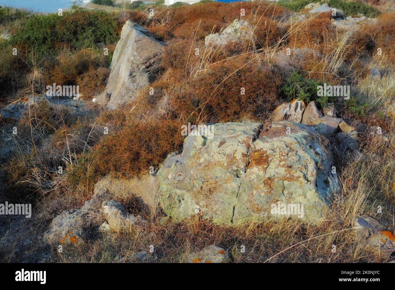 Wilderness by the Mediterranean Sea, Bodrum, Turkey. Wilderness by the ...