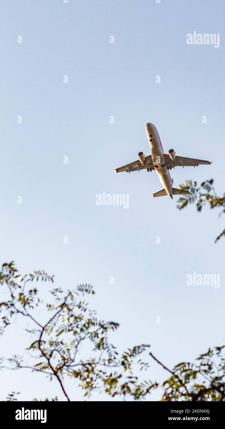 A vertical view of an aircraft flying above town with beautiful tree ...