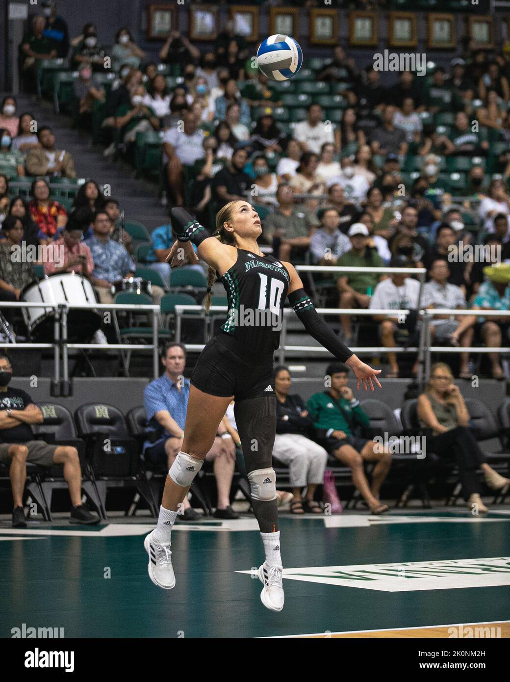 Honolulu, Hawaii. September 10, 2022 - Hawaii setter Kate Lang (10 ...