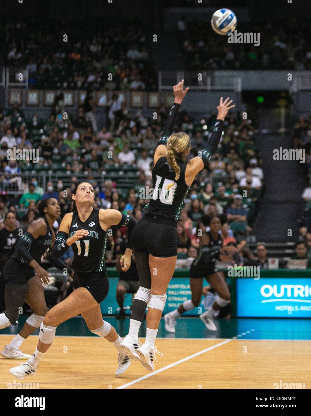 Honolulu, Hawaii. September 10, 2022 - Hawaii setter Kate Lang (10 ...