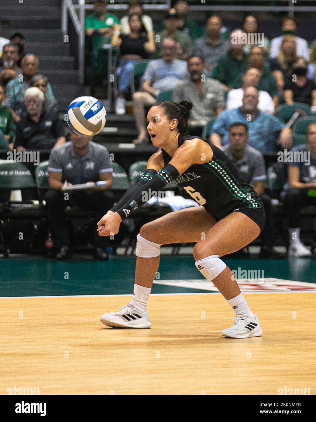 Uscvolleyball hi-res stock photography and images - Alamy