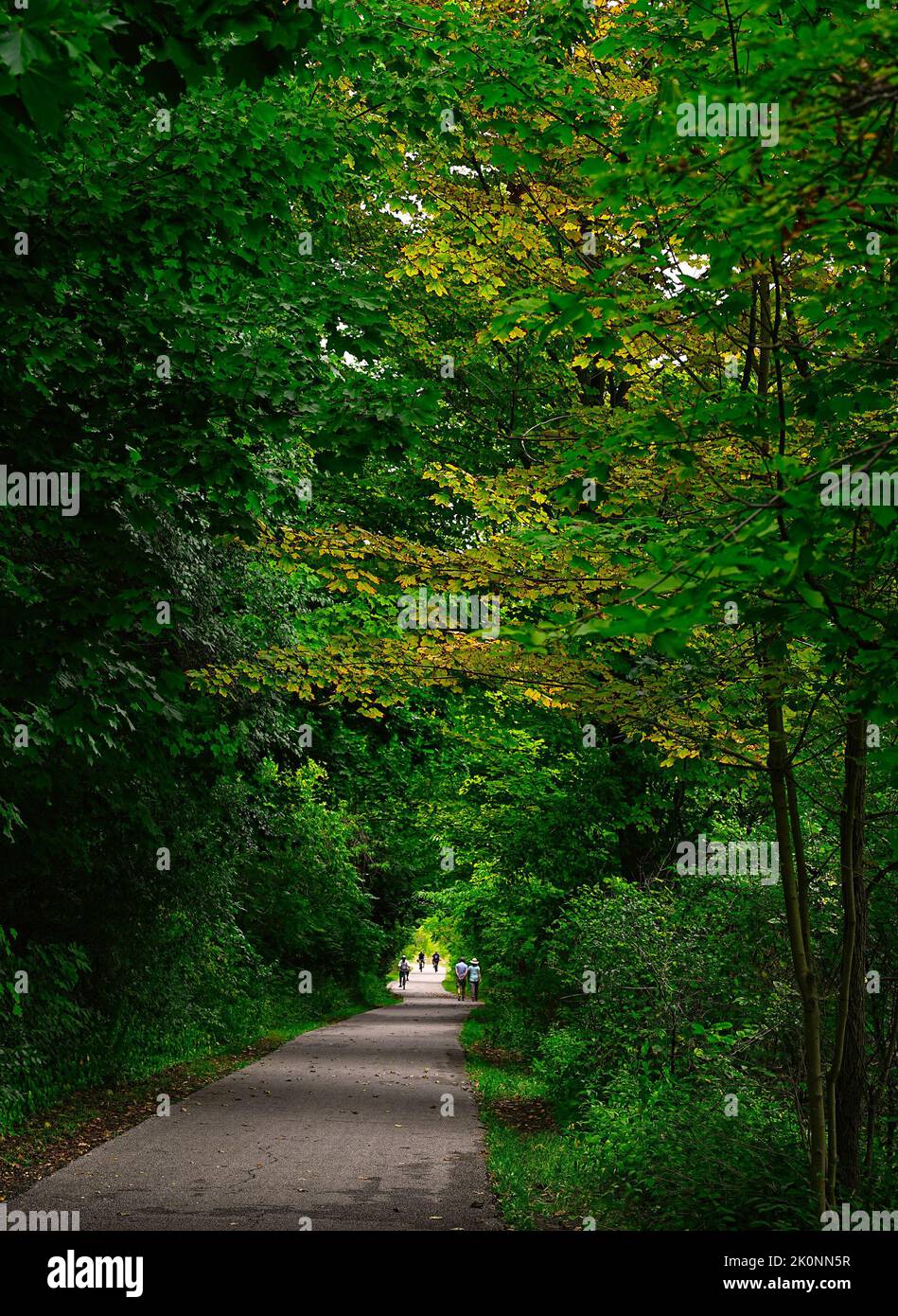 As autumn descends, the world undergoes an astonishing transformation ...