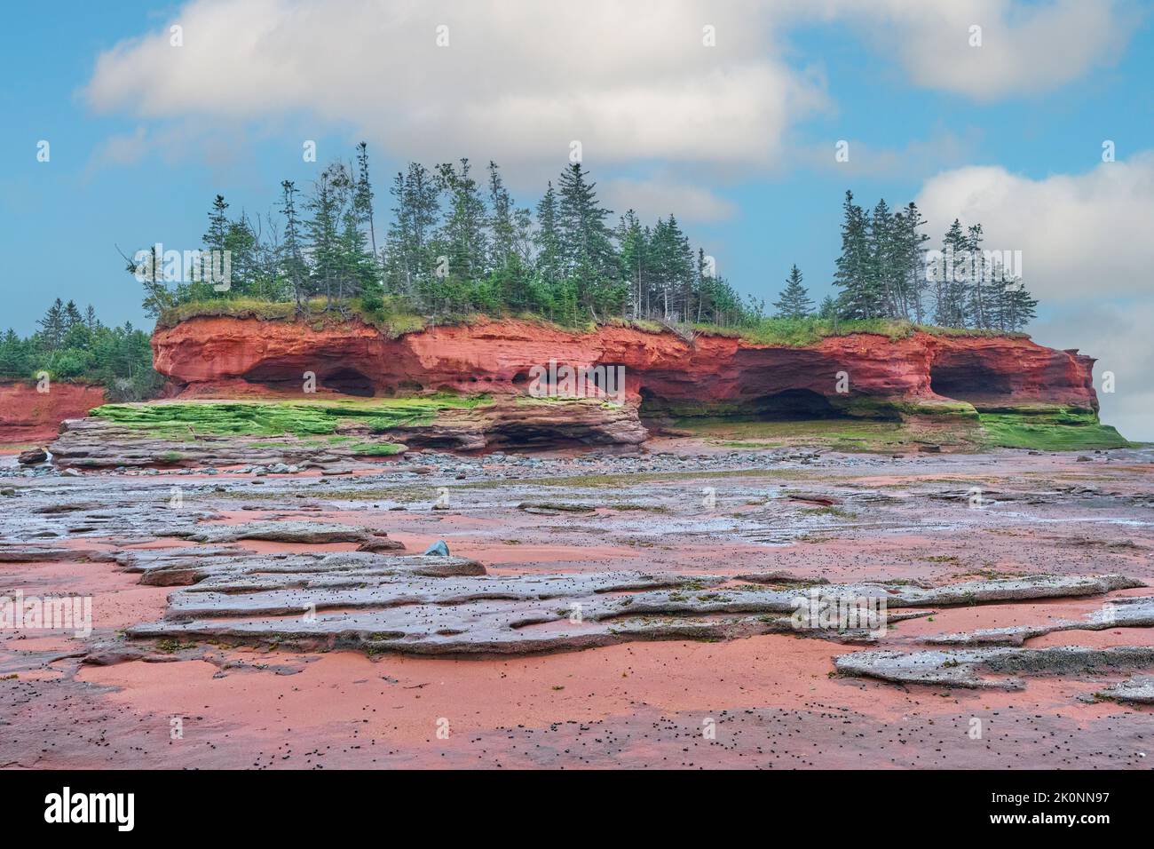 Sea stack during low tide at Burntcoat Head Park on the Bay of Fundy in ...