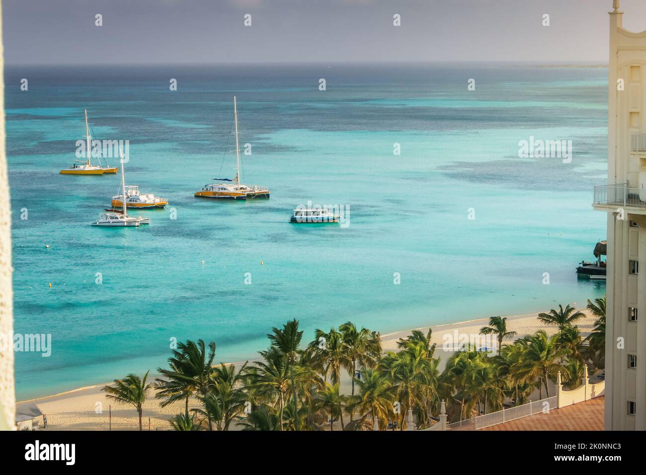 Aruba idyllic caribbean palm beach at sunny day, Dutch Antilles ...