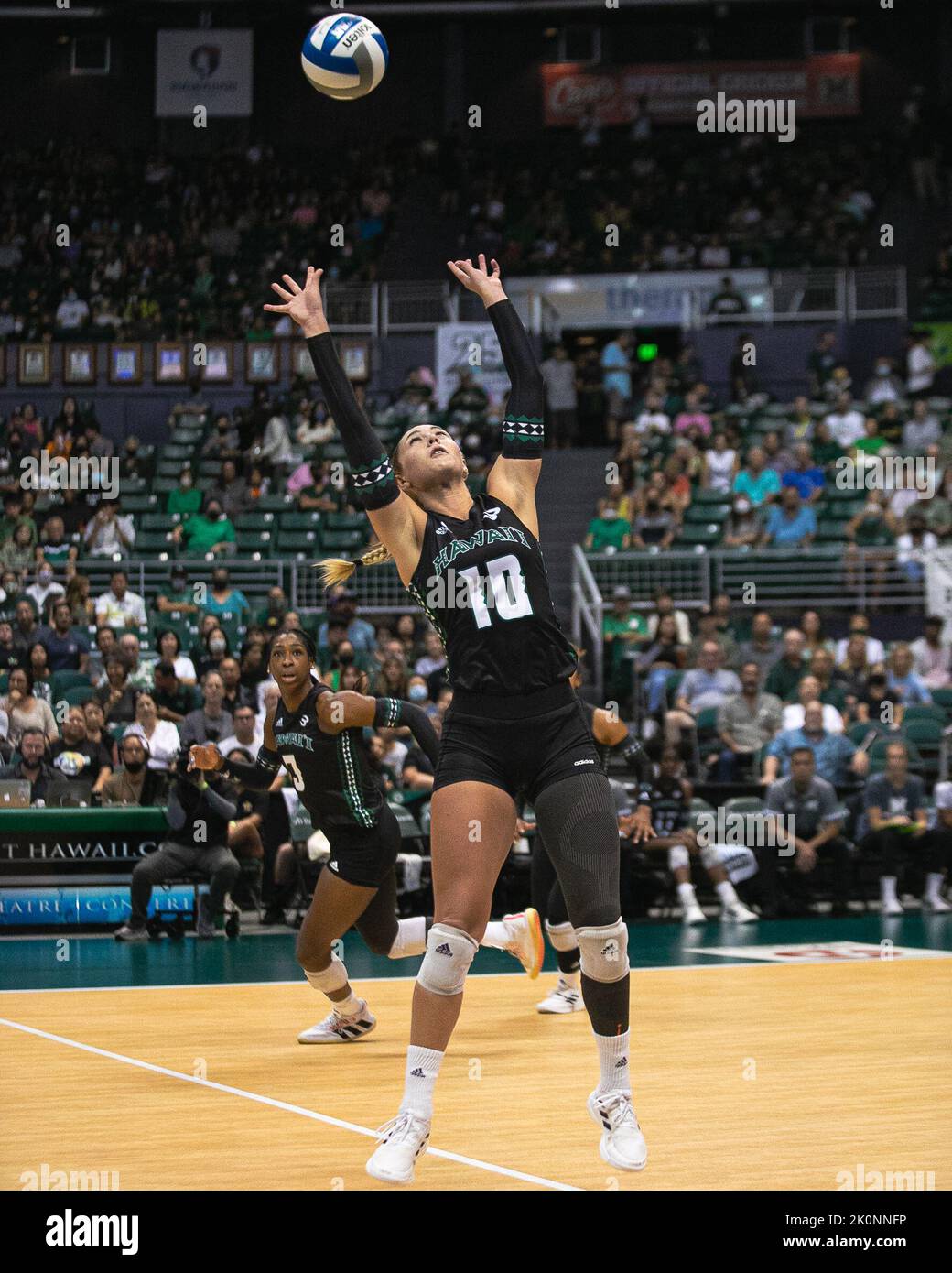 Honolulu, Hawaii. September 10, 2022 - Hawaii setter Kate Lang (10 ...