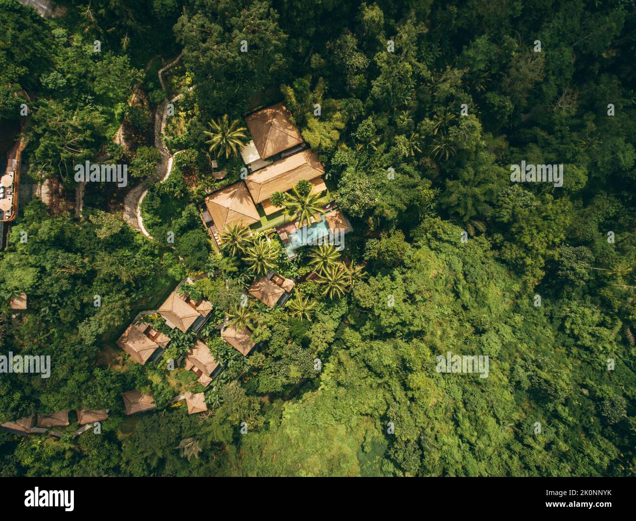 Bird's eye view of luxury resort in forest surrounded by trees Stock ...