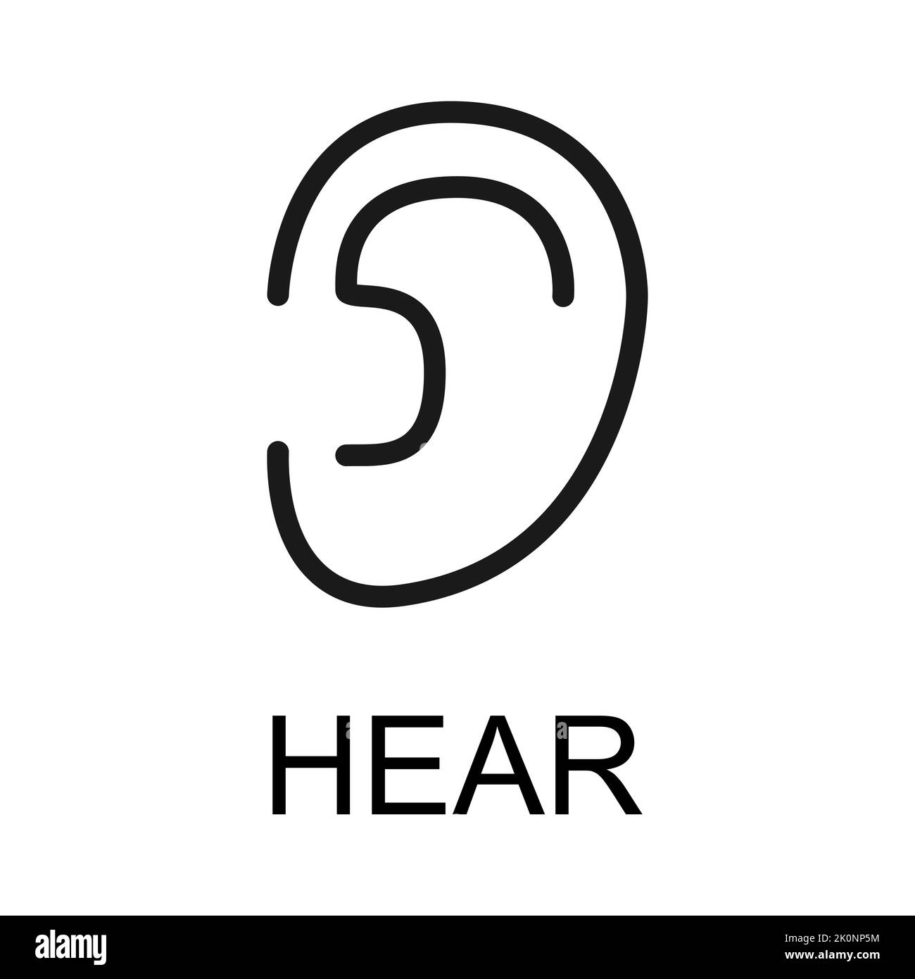 Anatomy of ear Black and White Stock Photos & Images - Alamy